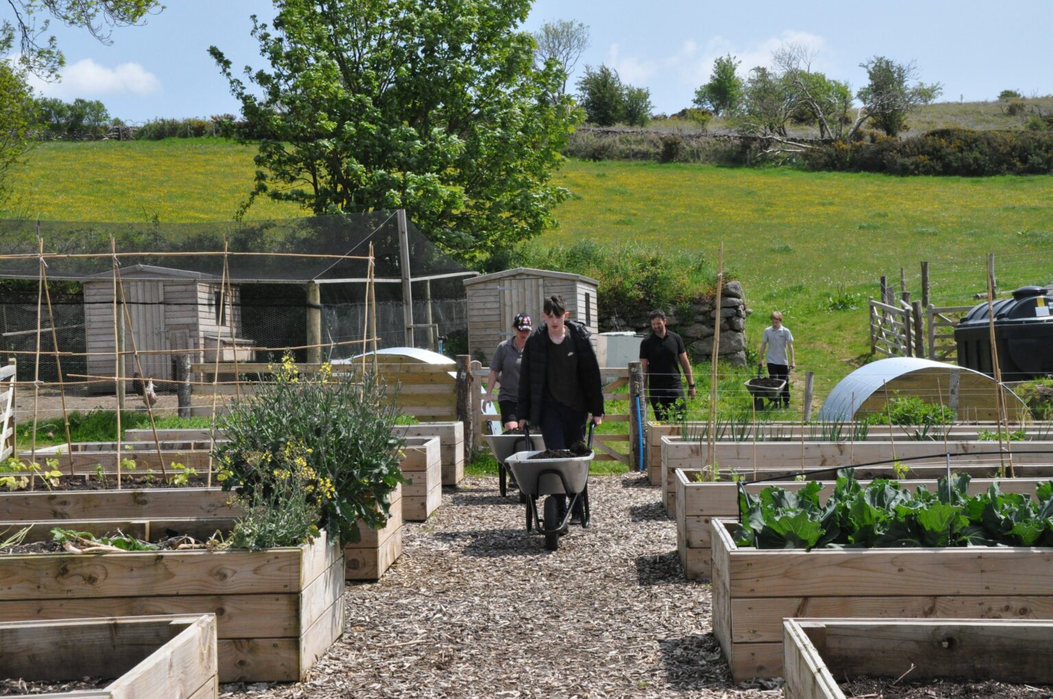 Our Impact: Transforming Lives – Shallowford Farm